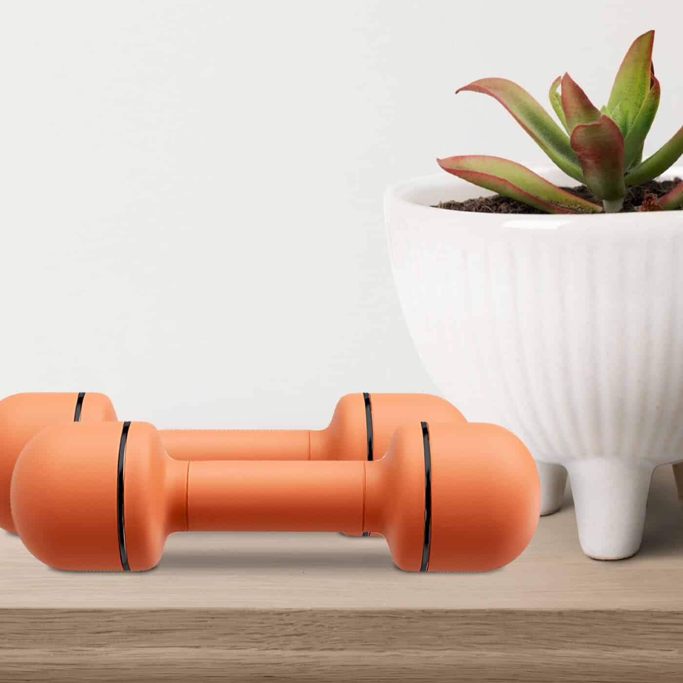 Lightweight Adjustable Dumbbell - 3kg (Set of 2) | NutroOne