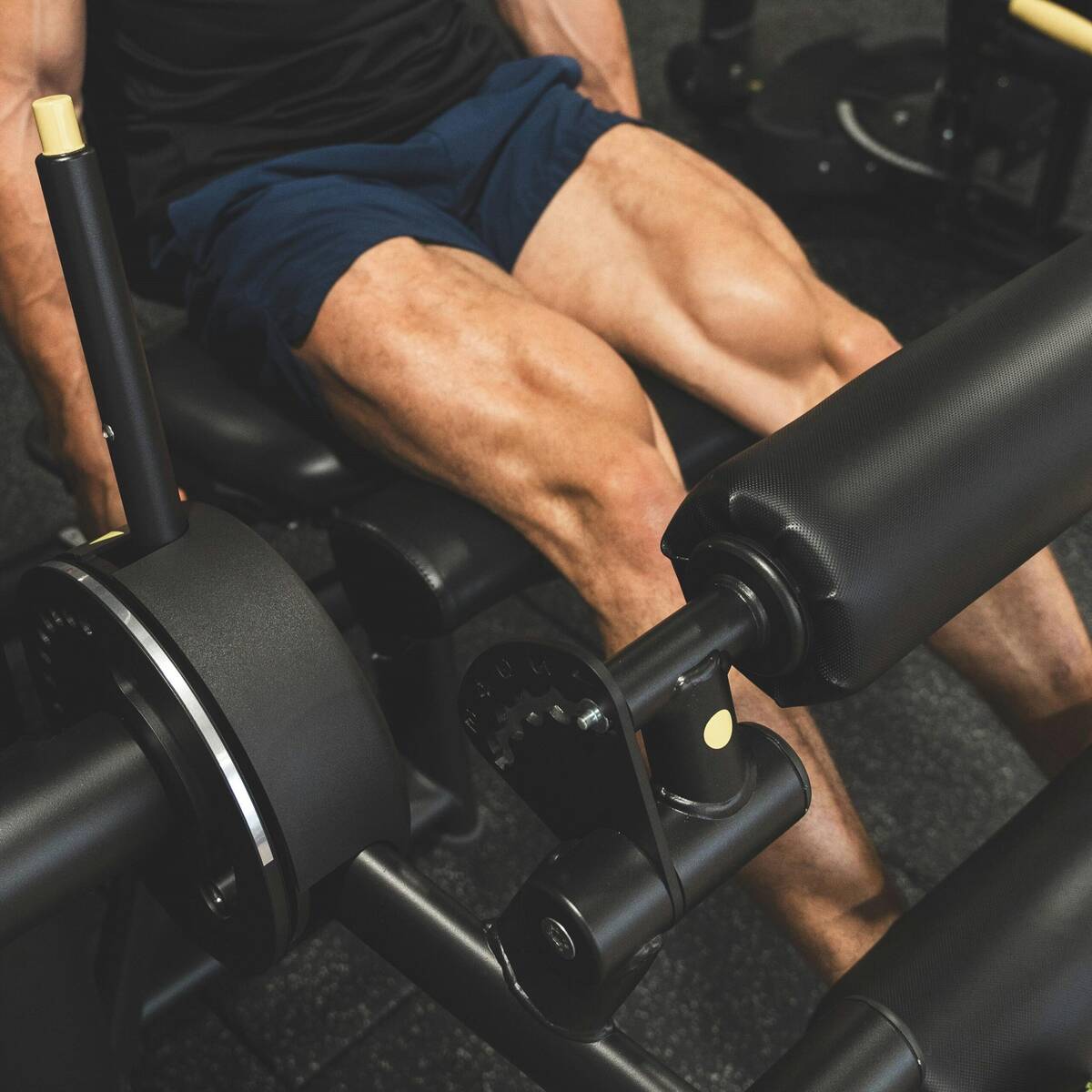 NutroOne Advance Dual Function Leg Extension/Leg Curl Machine ...