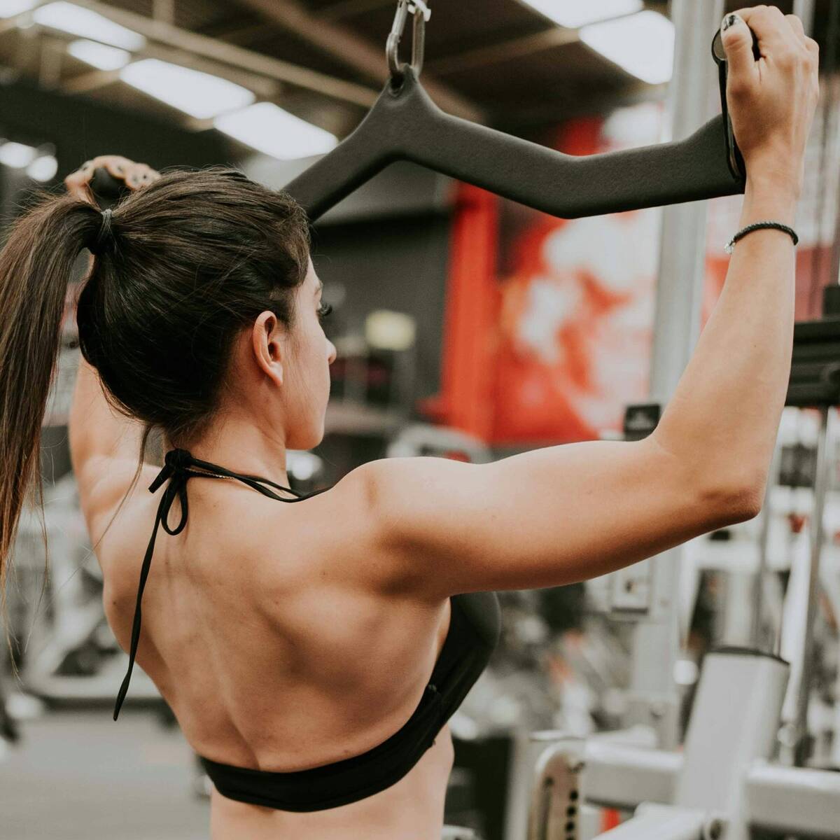 NutroOne Advanced Dual Function Shoulder/Chest Press Pectoral Fly ...